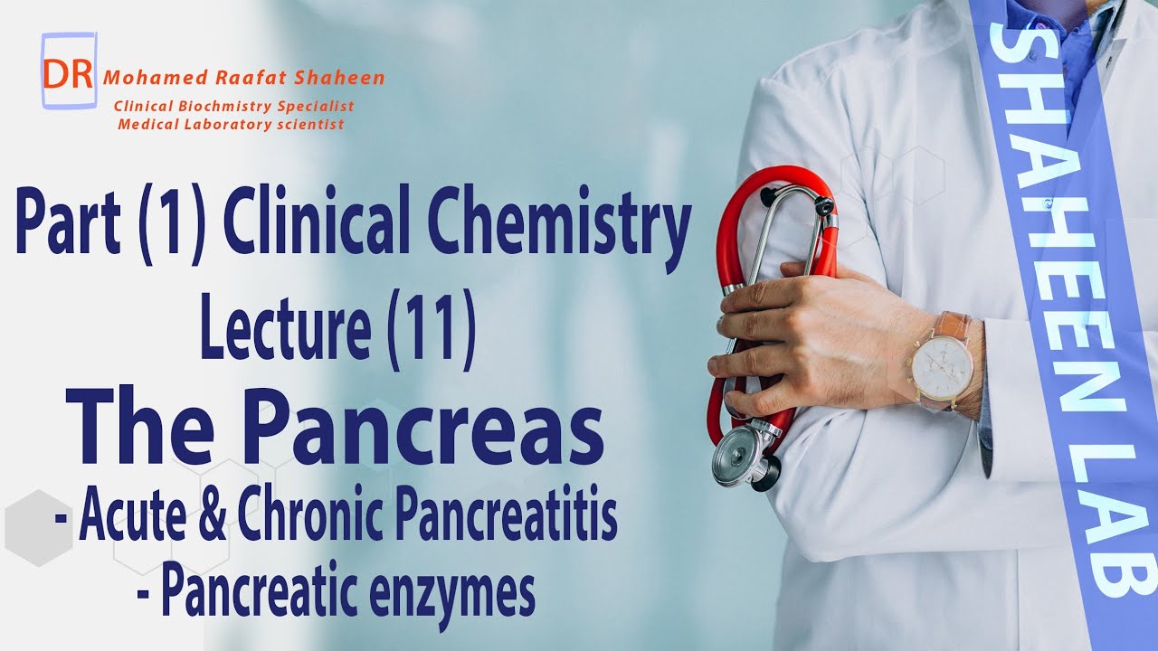 Clinical chemistry : Lecture 11 (The Pancreas) - Clinical Pathology ...