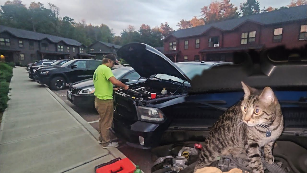 worlds longest vlog with zack + cat in a cateye - YouTube