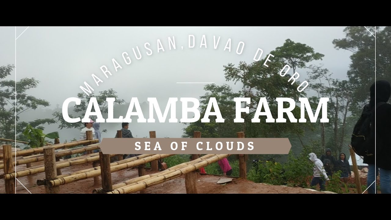 CALAMBA FARM, SEA OF CLOUDS | MARAGUSAN, COMVAL | 2020 - YouTube