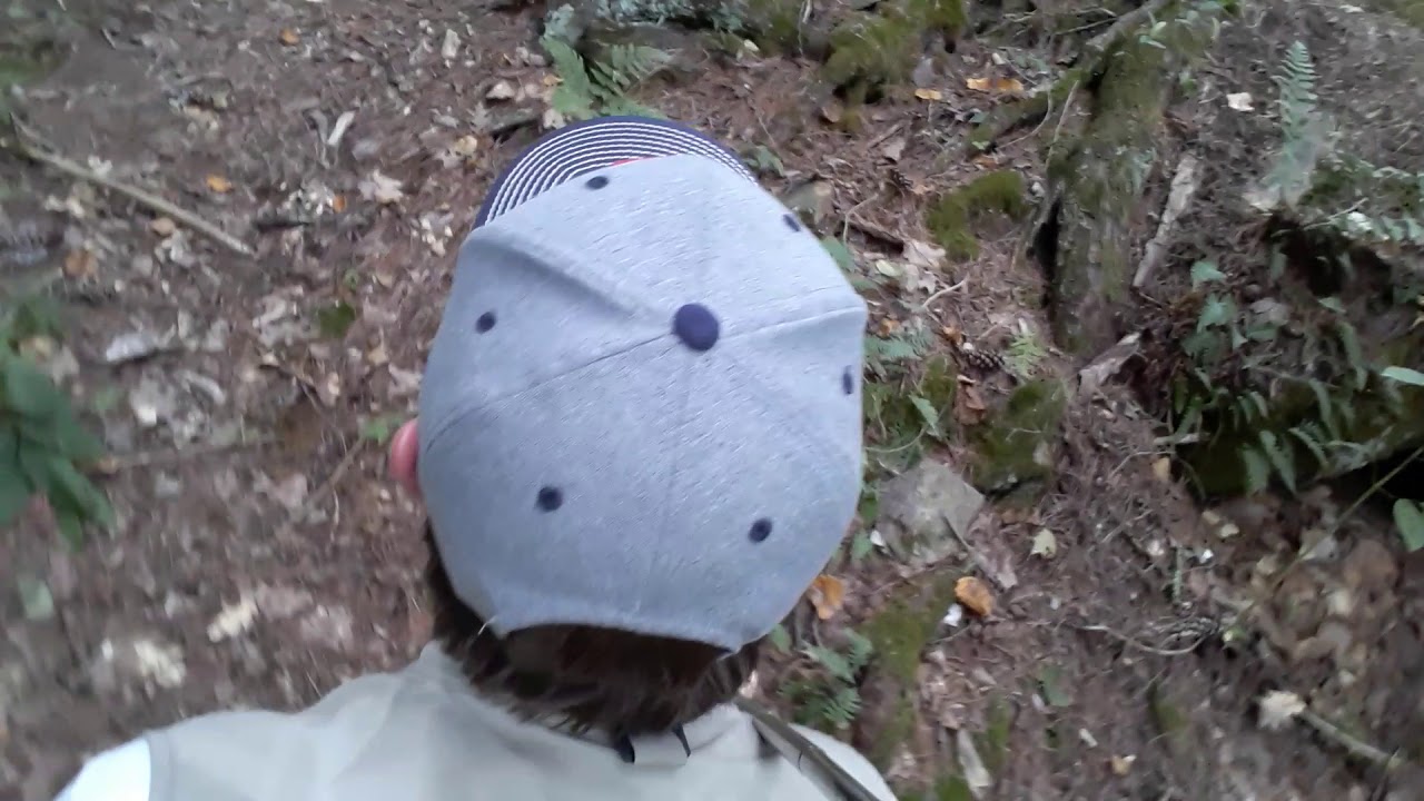 Exploring the Saranac River while fly fishing. - YouTube