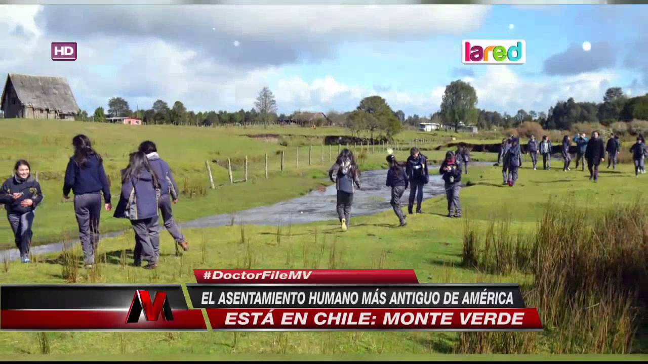 Monte Verde: La localidad chilena en donde comenzó el poblamiento de ...