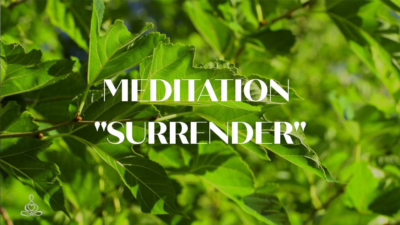 Meditation "Surrender" - YouTube