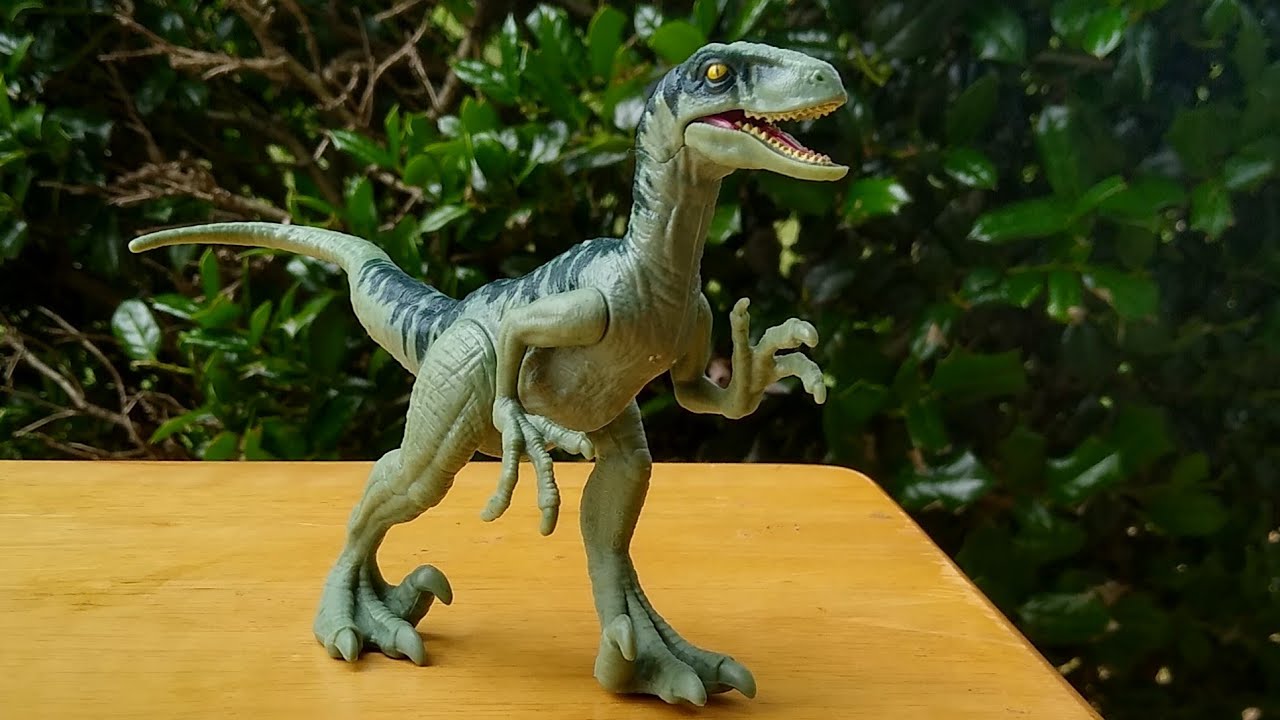 JURASSIC WEEK 2020 EVOLUTION CHARLIE THE RAPTOR - YouTube