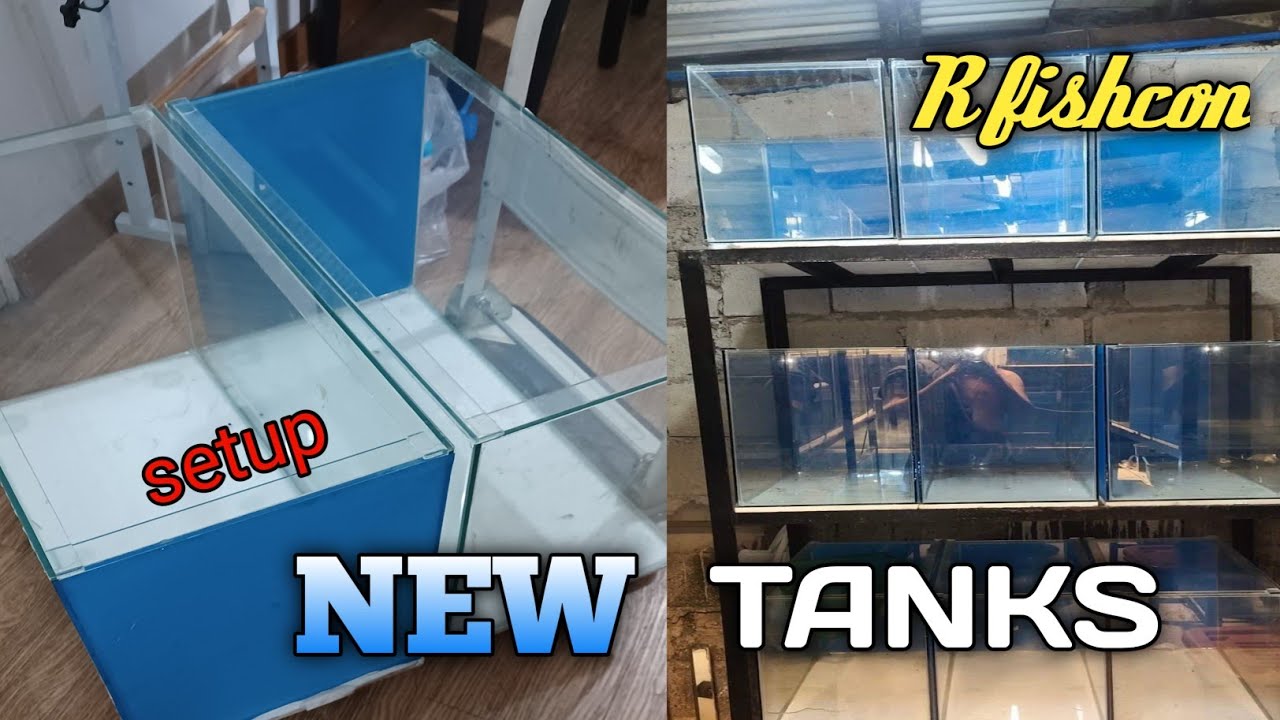 Setup new tanks | BEGINNERS GUIDE part1 - YouTube