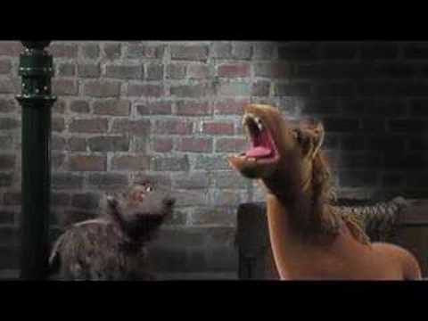 Animal Confessions Dog and Horse