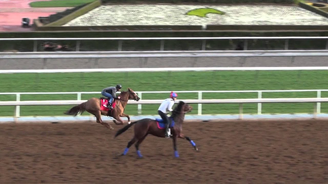 Sky Treasure - YouTube