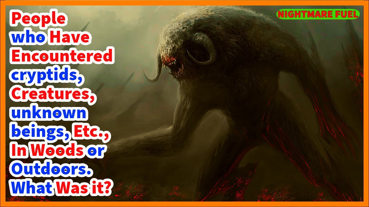 People who have encountered cryptids, unknown beings, etc., in woods or ...