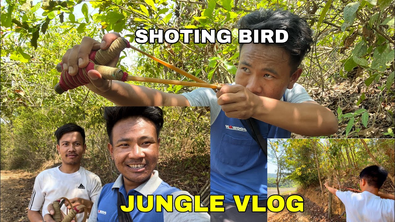Jungle vlog - Natoh kahat val e- Anom val e - YouTube