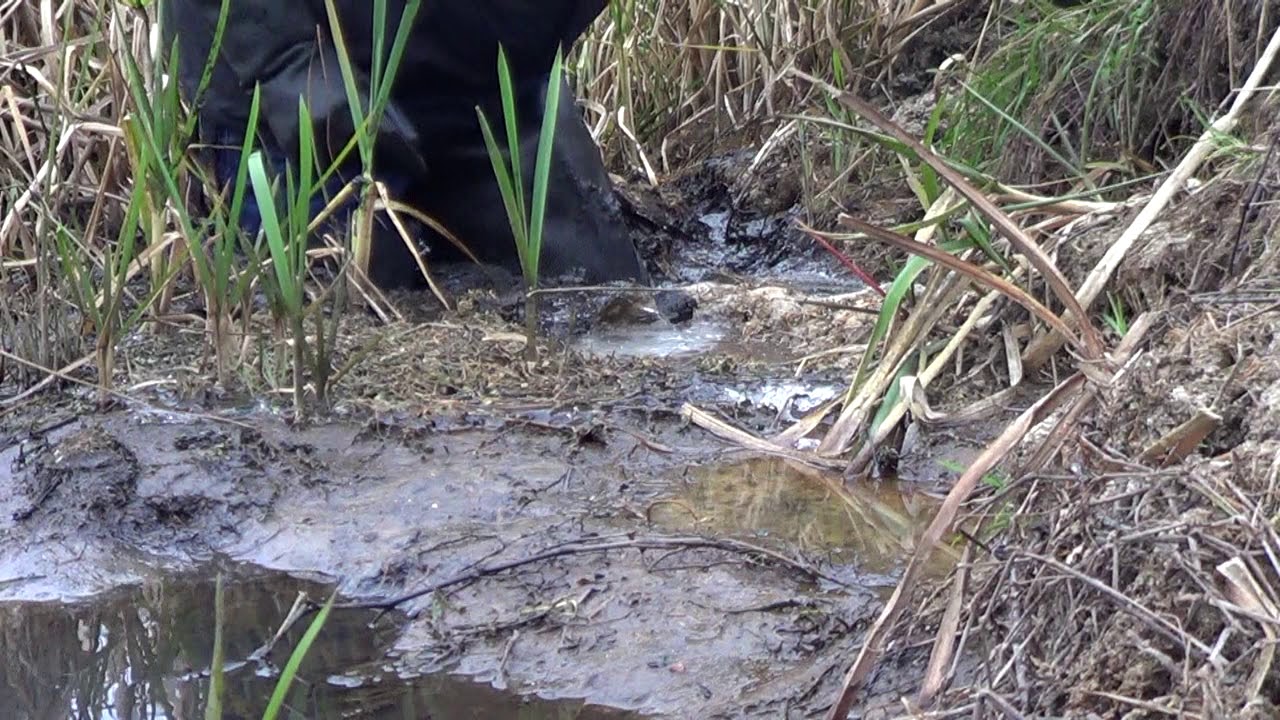 Flooding waders in mud. - YouTube