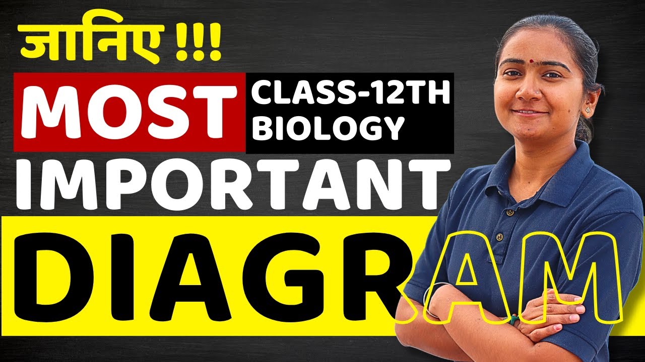 जानिए Most Important Diagrams Of Class-12th जीव विज्ञान | Biology ...