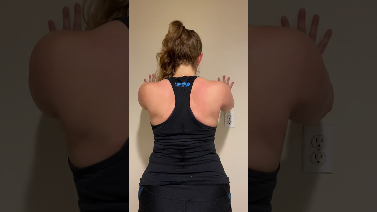 Scapular protraction and retraction - YouTube