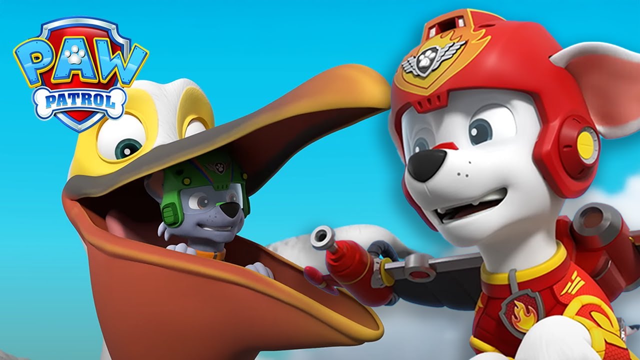 Marshall no para de hacer reír a este pelícano - PAW Patrol Episodio ...