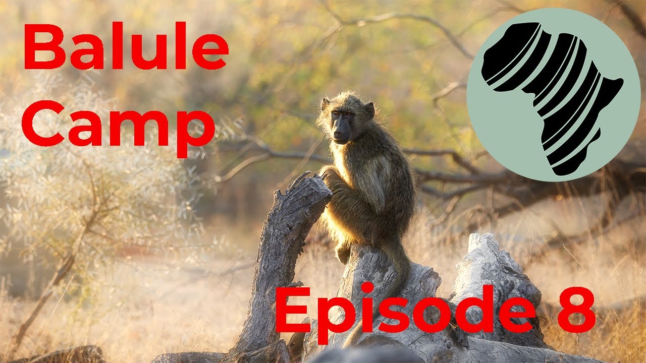 Camping at Balule, Kruger National Park, Episode 8 - YouTube