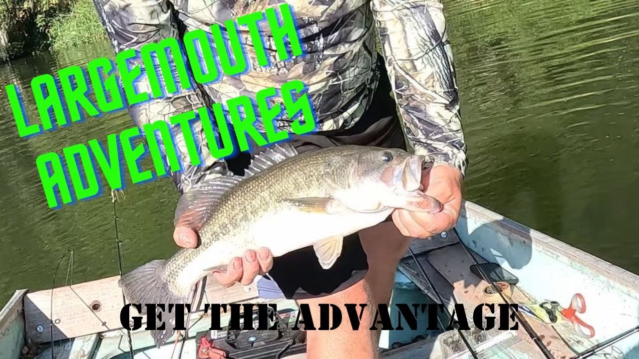 Ridiculous Bass Bite #largemouthbass #fishing #oregon!! - YouTube