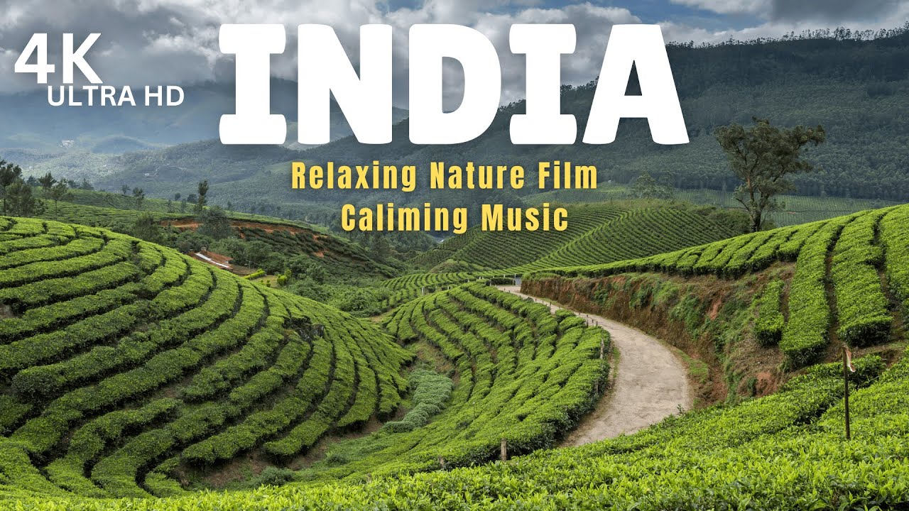 INDIA 4K Nature Relaxation Film Peaceful Relaxing Music 4k Video ...