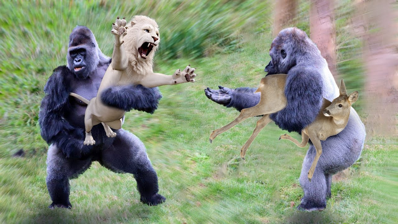 8 strange animal behaviors that will amaze you - YouTube