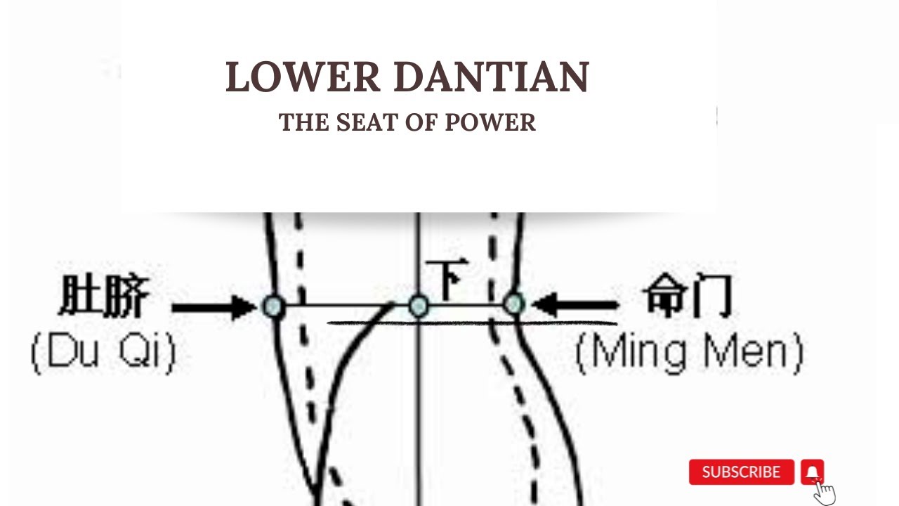 The Seat Of Power: Lower Dantian and Ming Men - YouTube