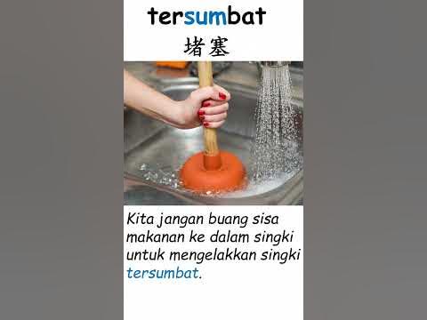 Kosa Kata|Tahun 4 Unit 5D | Unit 5 | Bahasa Melayu | SJKC - YouTube