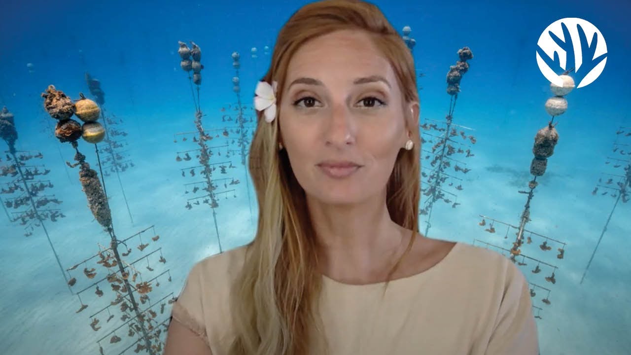 A Big Thank You from CRF and Friends Coralpalooza Digital 2020 - YouTube