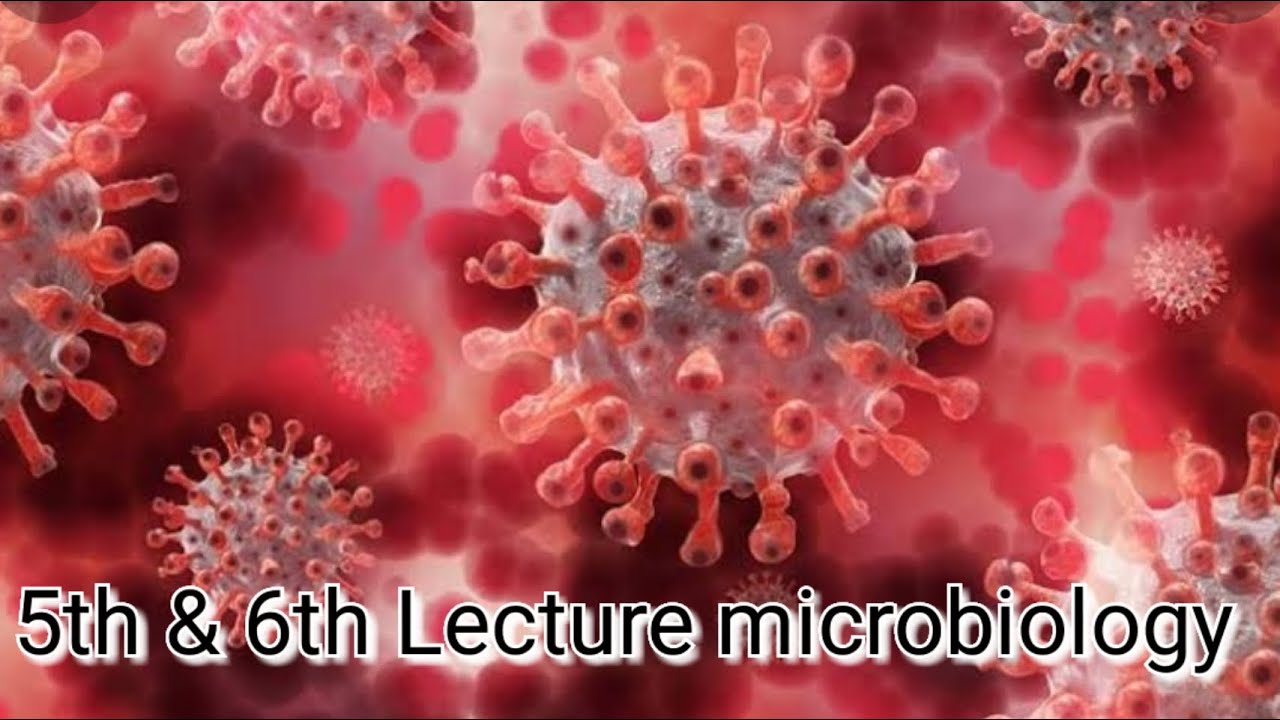 5th & 6th Lecture microbiology - YouTube