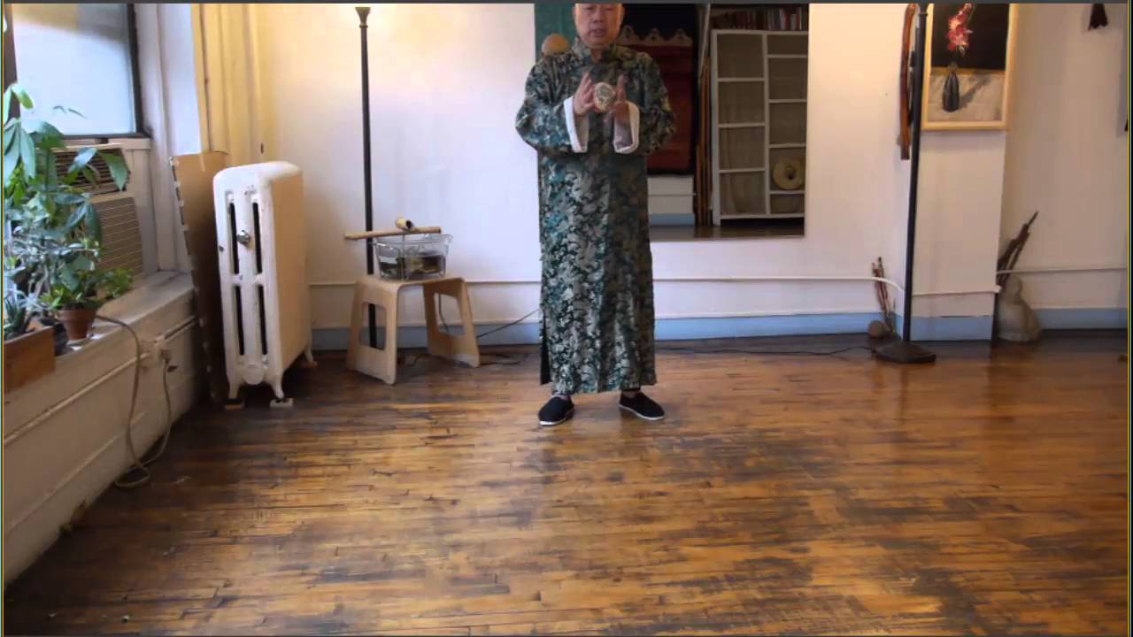 TAIJI 5 animal qigong - YouTube