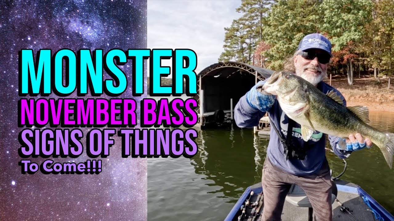 Monster November Bass Signs Of Things To Come - YouTube