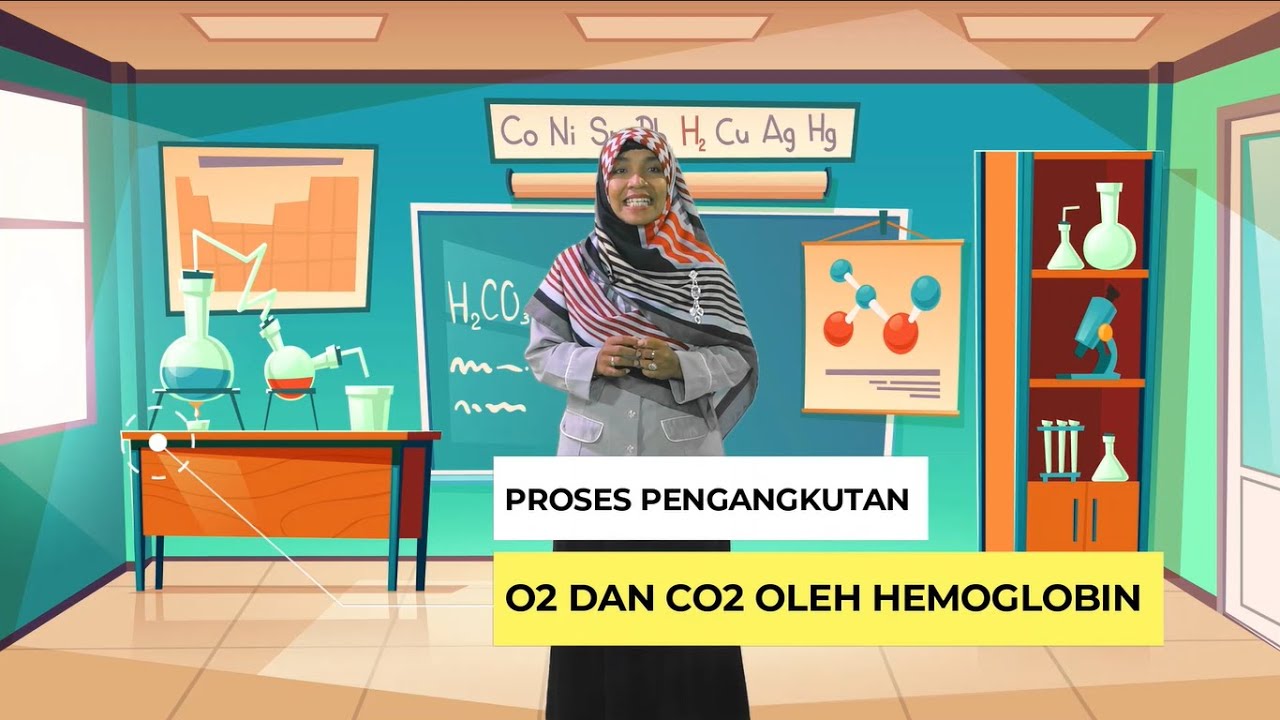 Proses Pengangkutan O2 dan CO2 oleh Hemoglobin - YouTube