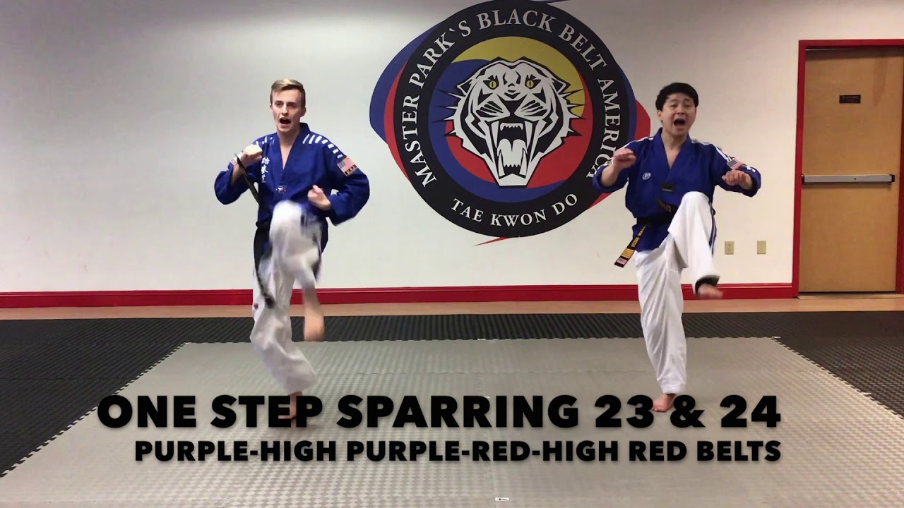 Level 3 ONE STEP SPARRING 23 & 24 - YouTube