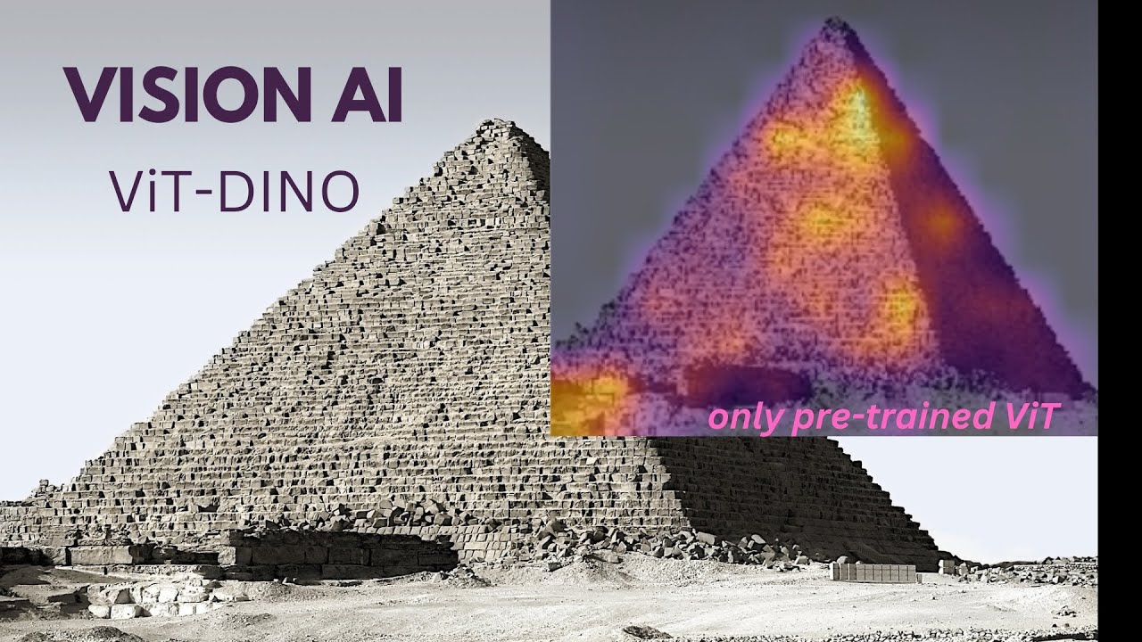 Visualizing the Self-Attention Head of the Last Layer in DINO ViT: A ...