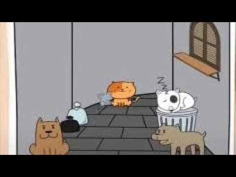 brain 🧠 Test 2 the Tom's 🐈 adventure level eight 🎱 Game 🎯 solution ...