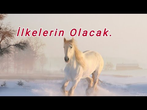 İlkelerin Olacak.