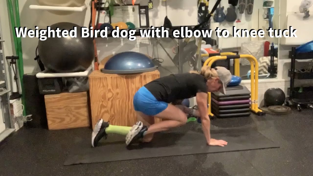 Weighted Bird dog with elbow to knee tuck - YouTube