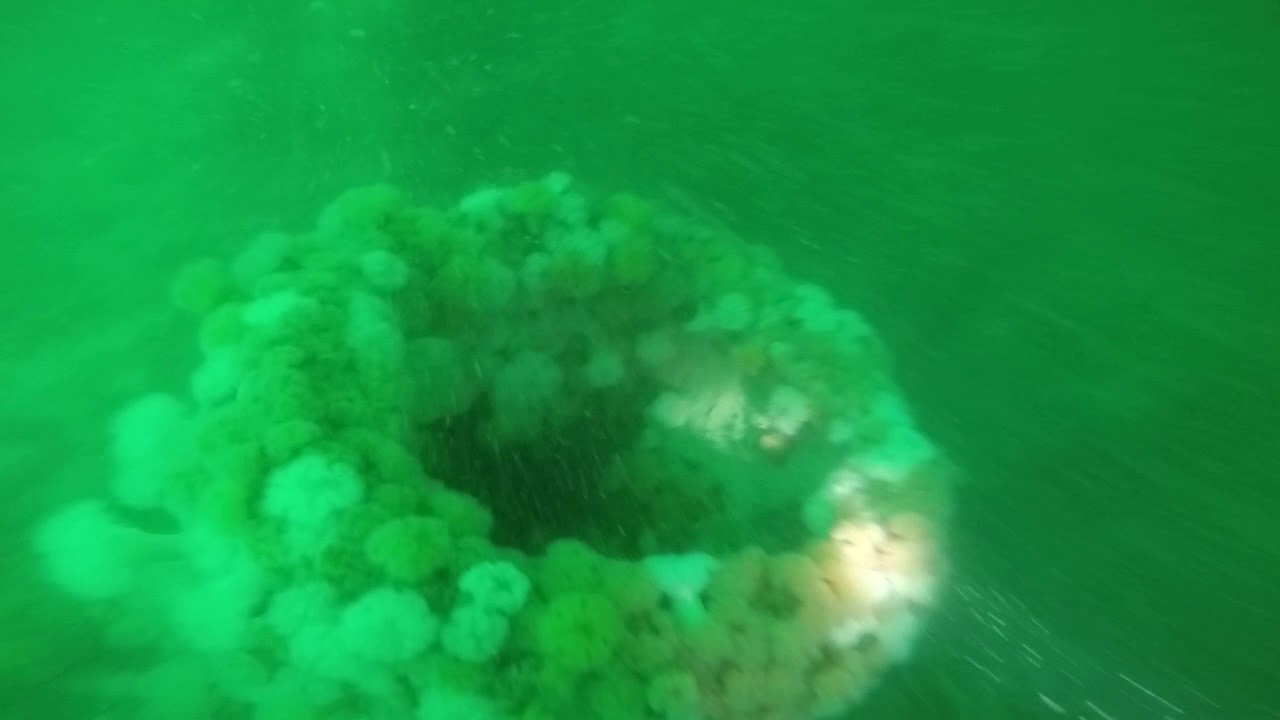 Intact WWI German U-Boat Found Off the Coast of Belgium