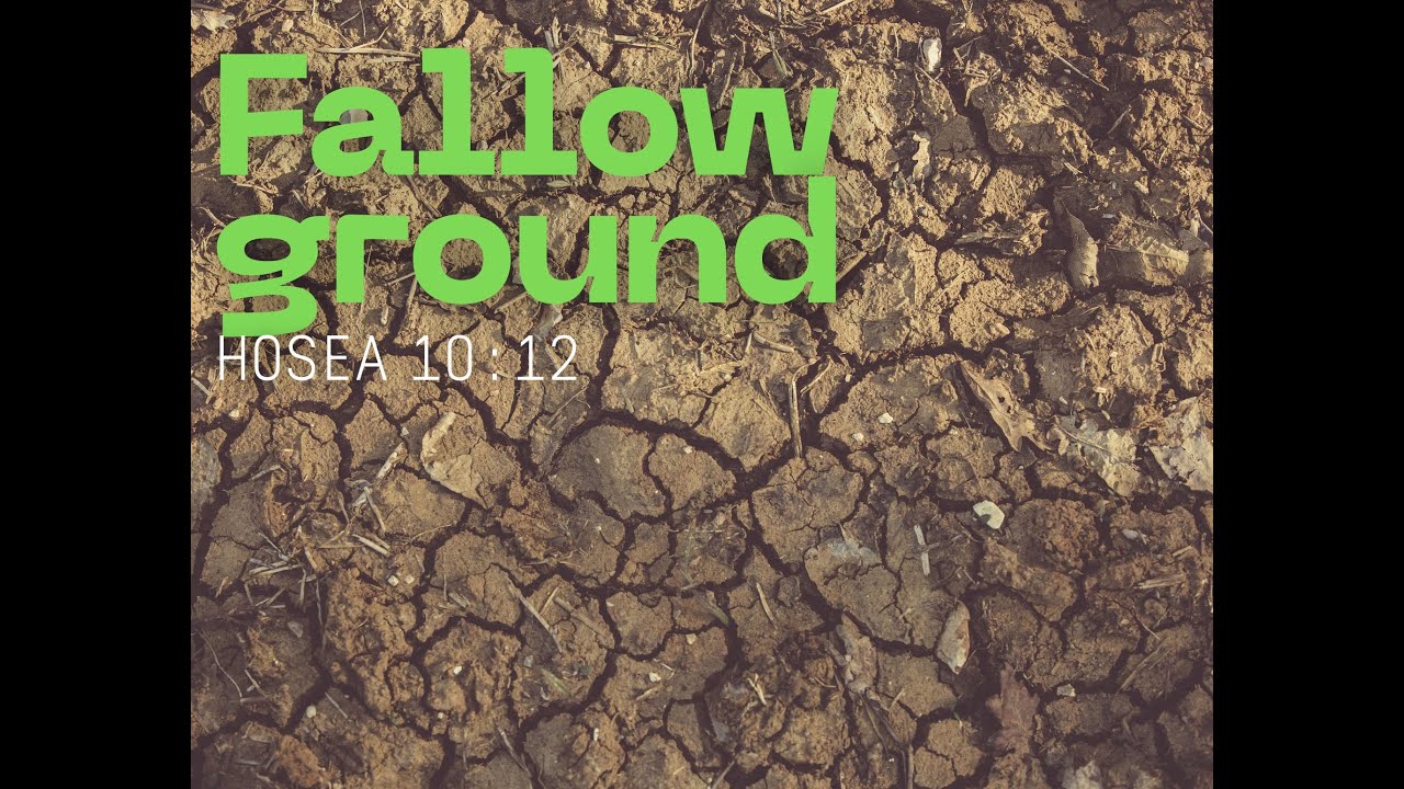 Fallow Ground - YouTube