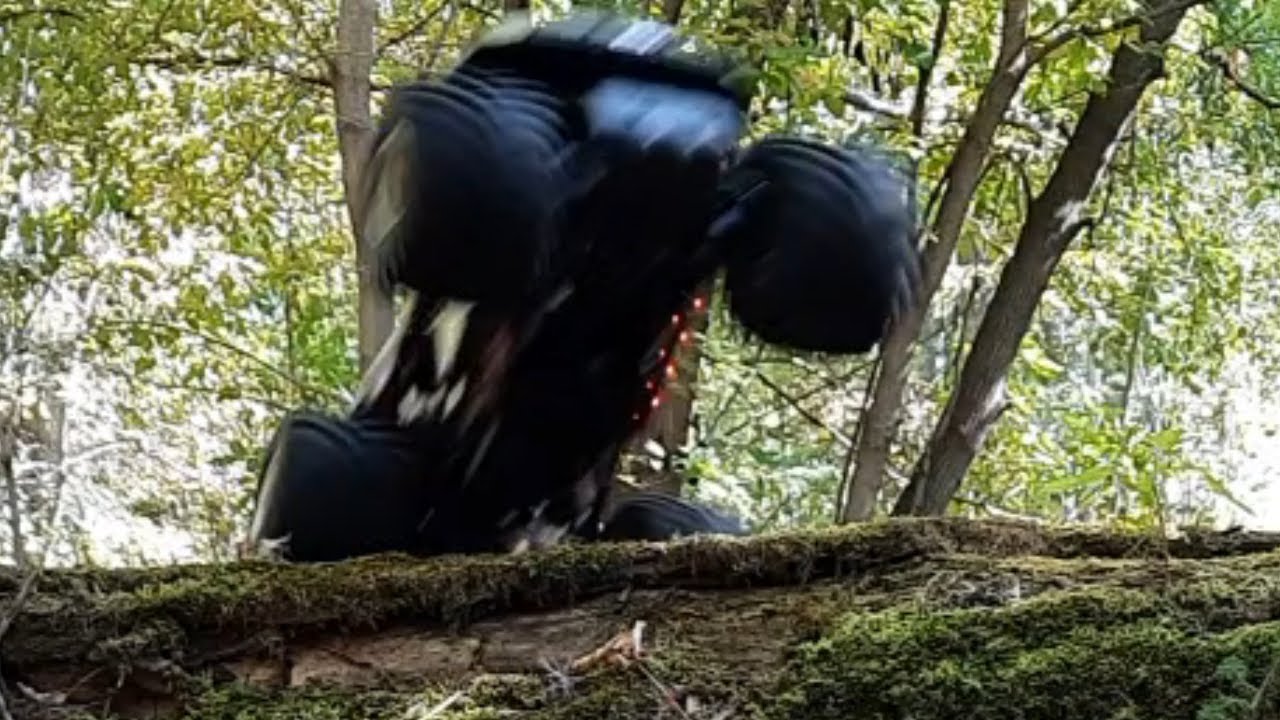 Tamiya TXT-2 RC Monster Truck Stick Snapping Action - YouTube