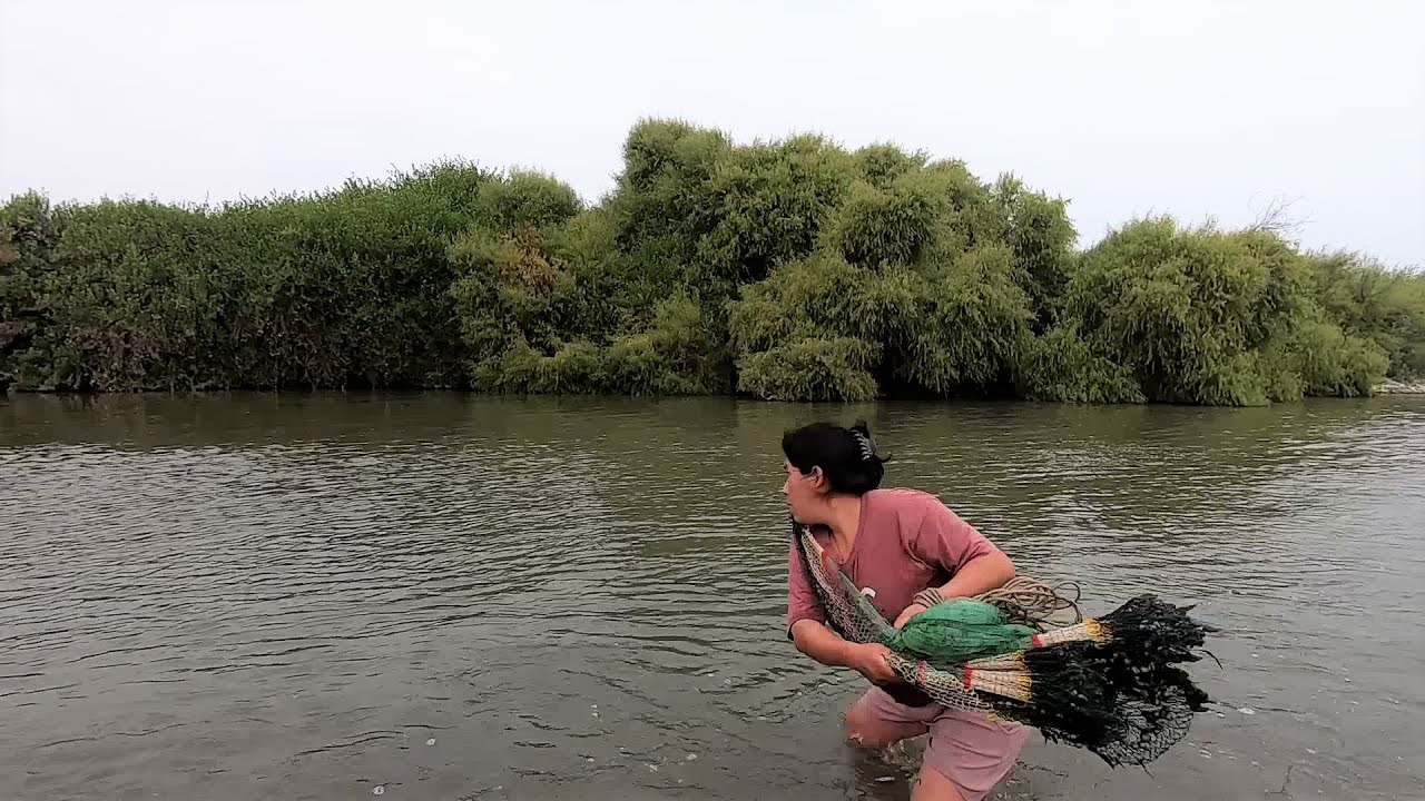 ASÍ LANZA la ATARRAYA al RÍO esta MUJER Pescadora y mira los PECES que ...