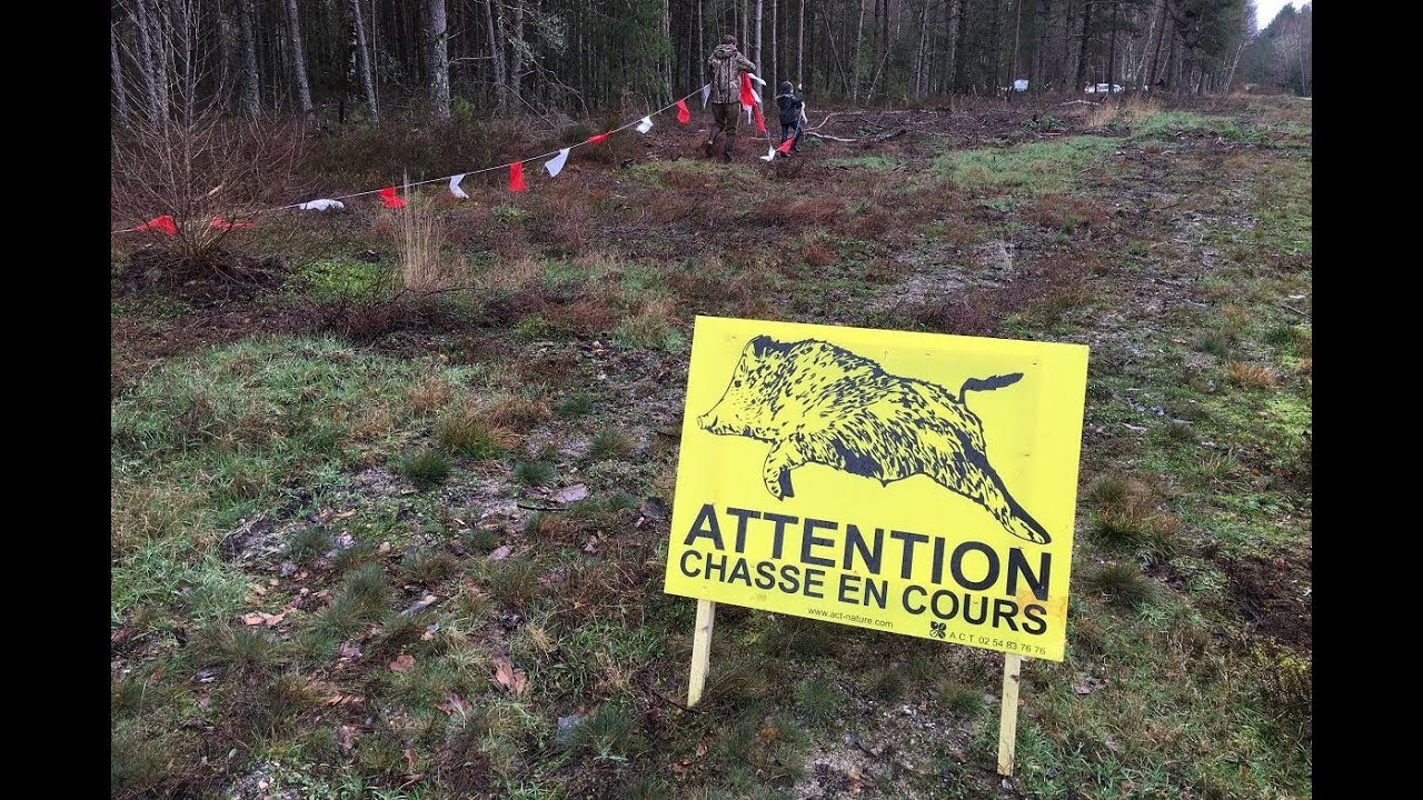 La Sologne engrillagée, un magazine sur les clôtures qui enferment des ...