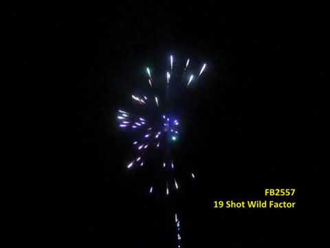 Wild Factor - YouTube