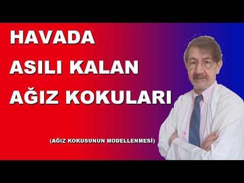 Ağız Kokusunun Modellenmesi Yayılması Kalıcı Olması ve Uzaktan Hissedilmesi Nasıl Olur Fizik Gerçek