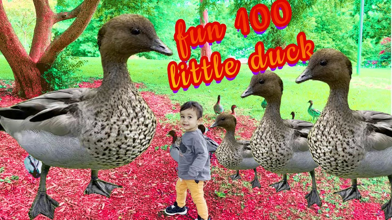 fun 100 little Ducks | Kids Songs - YouTube
