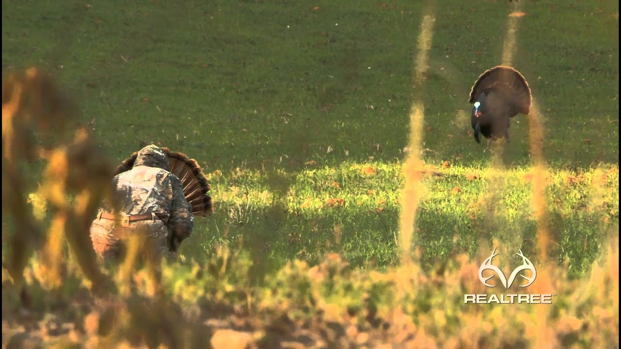 Extreme Close-Up Alabama Turkey Hunt - YouTube