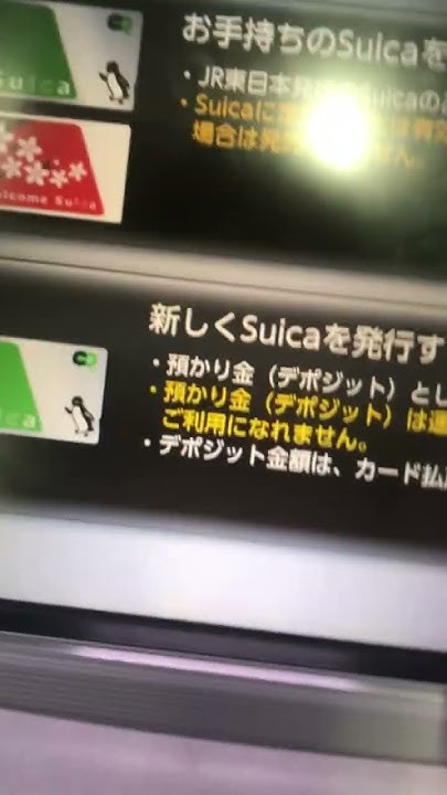 渋谷駅の多機能券売機で都区内パス（Suica）を発行する - YouTube