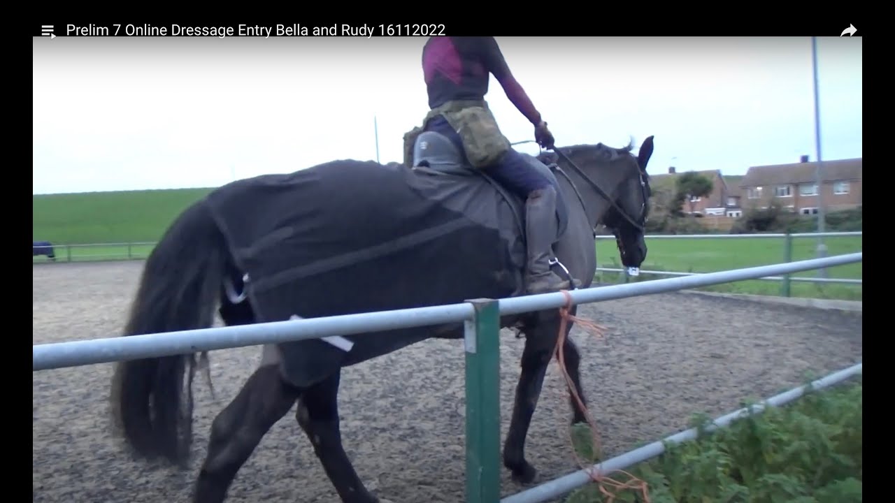 Prelim 7 Online Dressage Entry Bella and Rudy 16112022 - YouTube