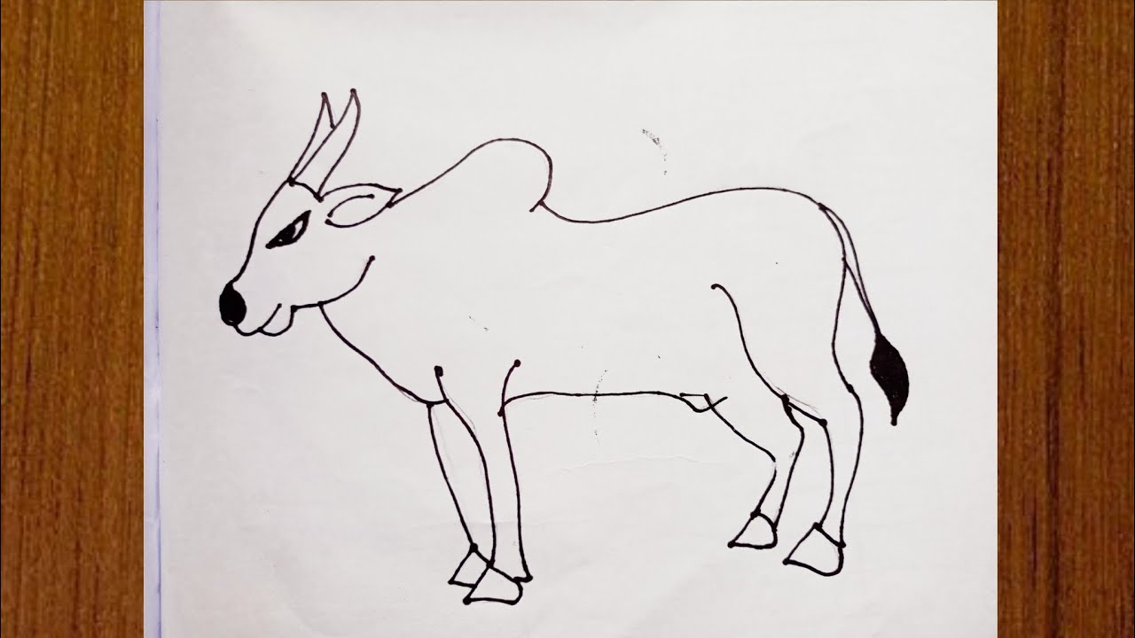 How to draw ox step by step for #beginners #ox #art #drawing #howtodraw ...