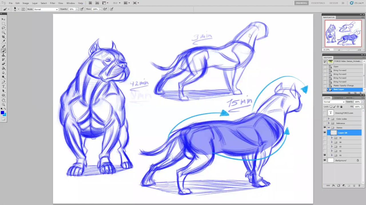 How to Draw Animals with FORCE part 01 - YouTube