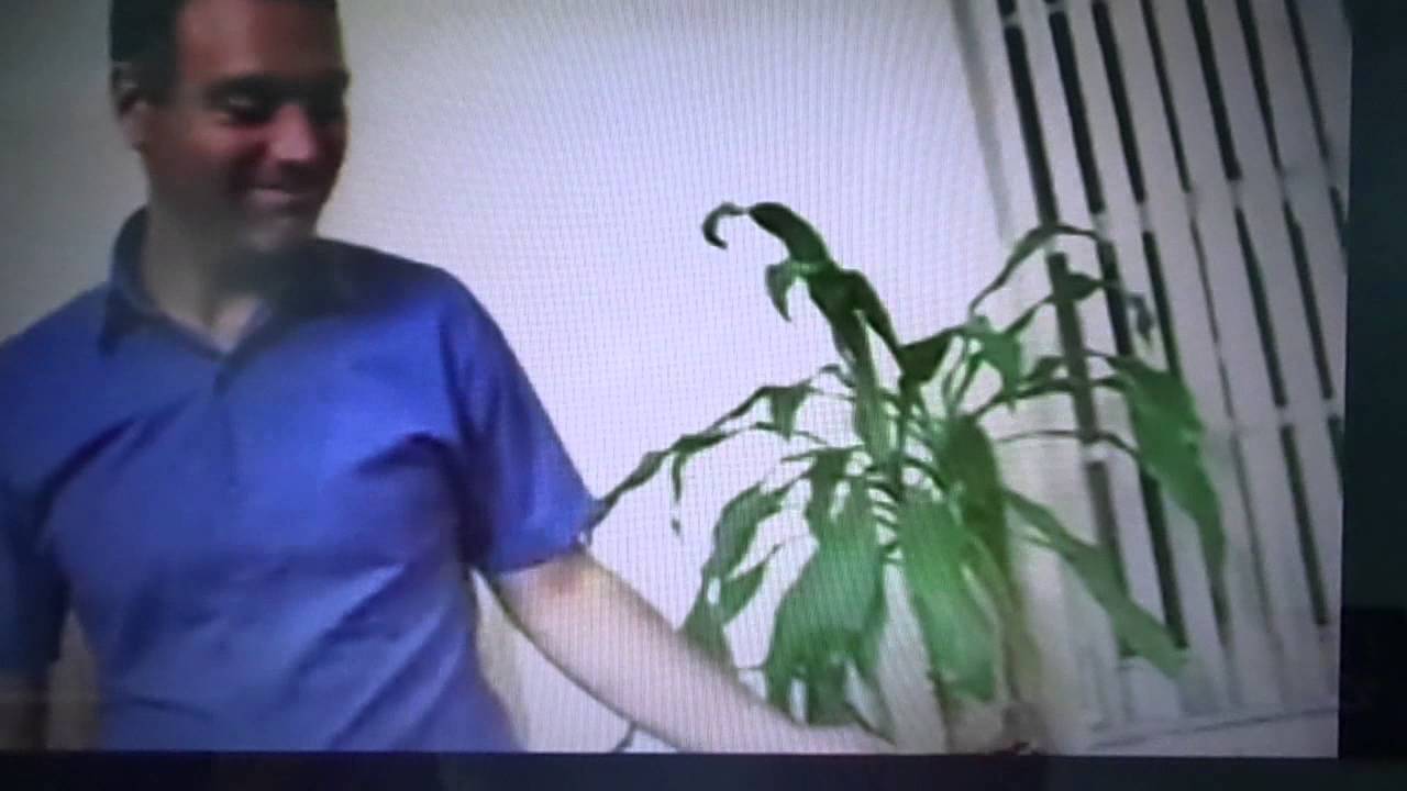 Cesar Mite en LOS HABITANTES cortometraje PARTE 1 - YouTube