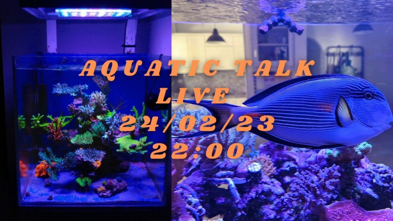 Θαλασσινό Live με καλεσμένους τον Κώστα Κυριακάκη κα Θεόδωρος ...