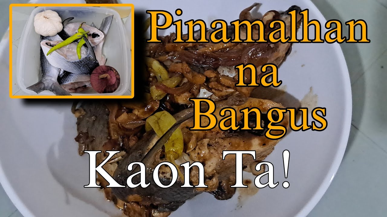 PINAMALHAN NA BANGUS | Ilonggo Dish | Sol's Version - YouTube