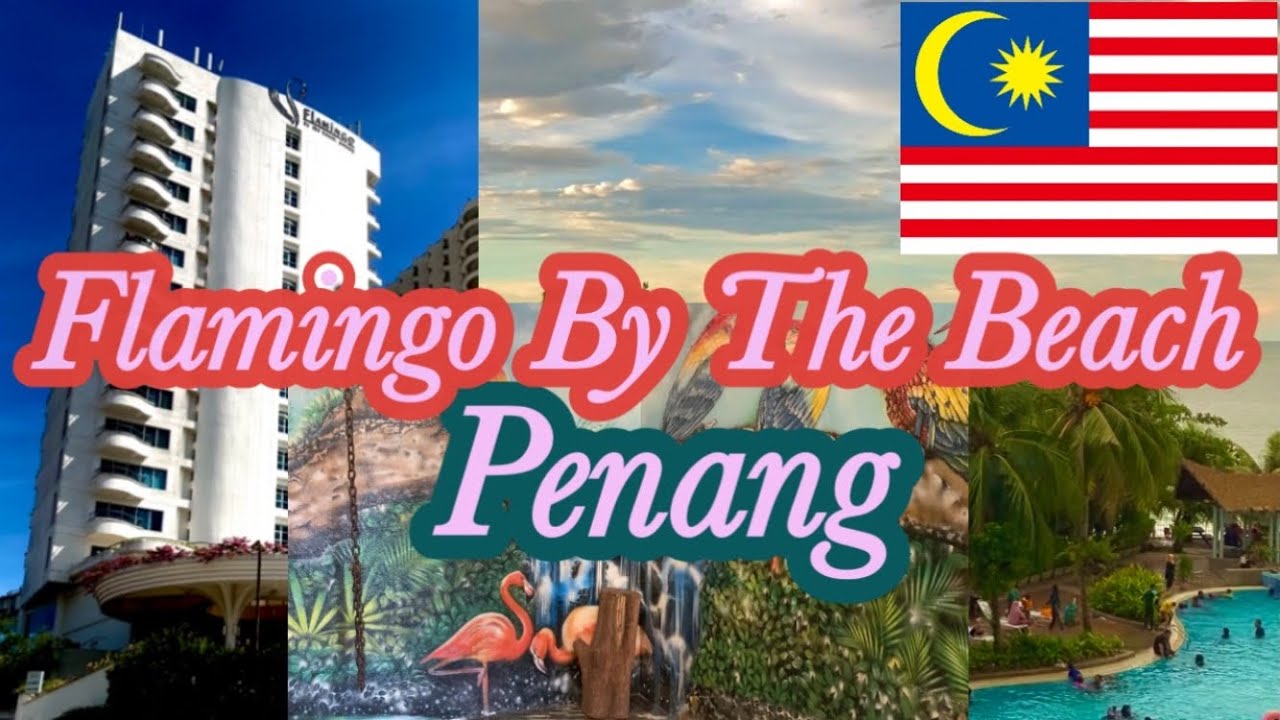 【Penang】Flamingo By The Beach Hotel【Malaysia】 - YouTube