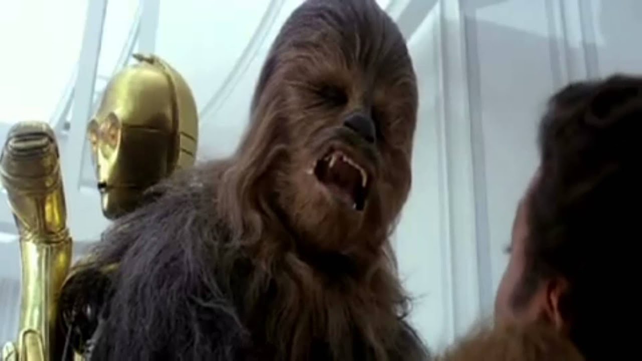 Chewbacca sings the "Diva Dance" from the Fifth Element - YouTube